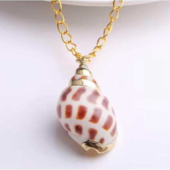 Jewelry | Tiger Conch Gold Dipped Spotted Mini Drupe Mitra Spiral Shell ...